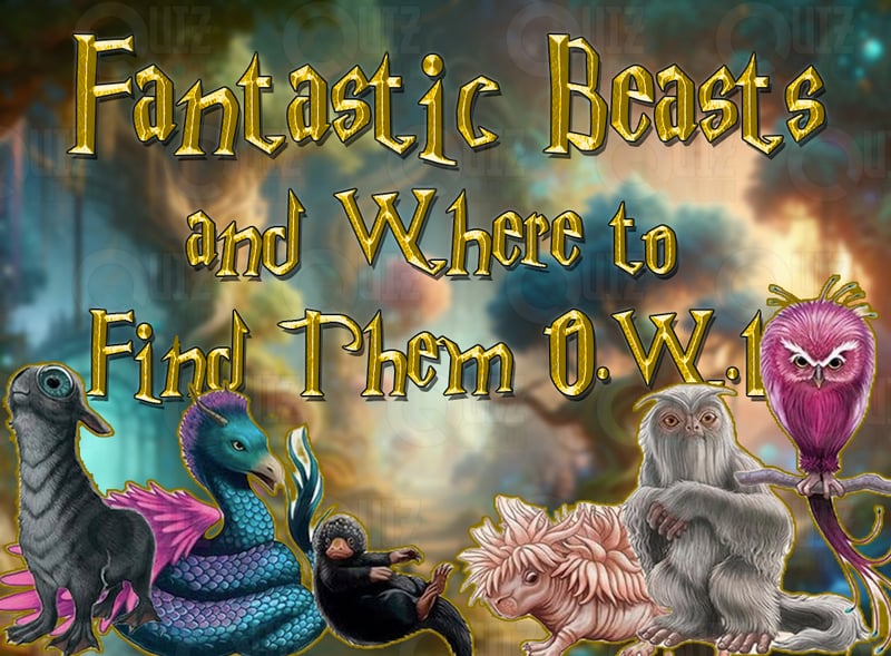 Fantastic Beasts and Where to Find Them O.W.L. Quiz