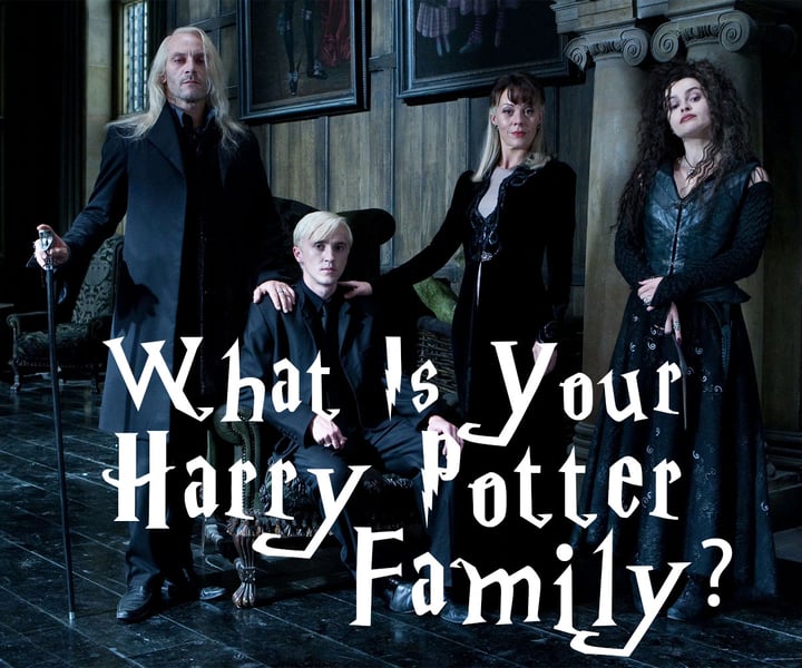What Is Your Harry Potter Family?